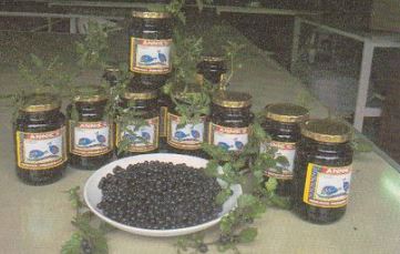 Annie’s Msobo Jam – Vrystaat Confessions